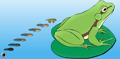 My Pet Frog for PC - How to Install on Windows PC, Mac