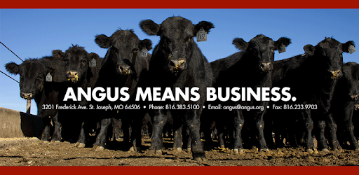 Angus Mobile for PC - How to Install on Windows PC, Mac