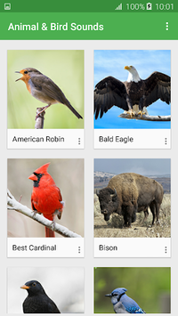 Bird and Animal soundboard APK Download For Free