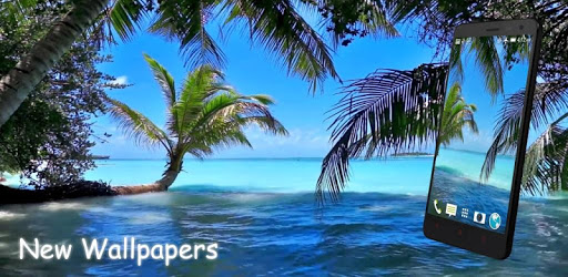 Beach Live Video Wallpaper for PC - How to Install on Windows PC, Mac