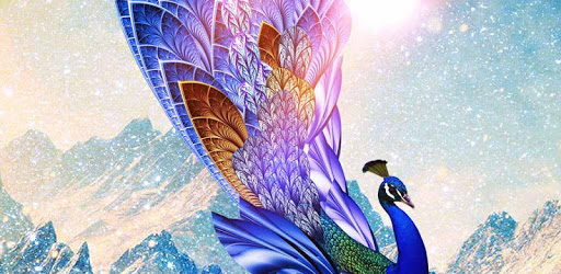 Colorful Peacock for PC - How to Install on Windows PC, Mac