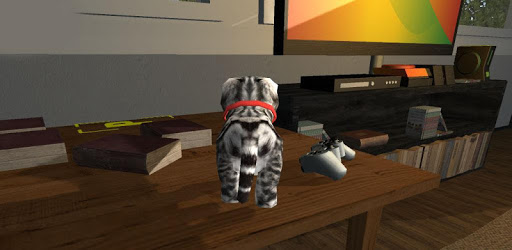 Cute Cat Parking for PC - How to Install on Windows PC, Mac