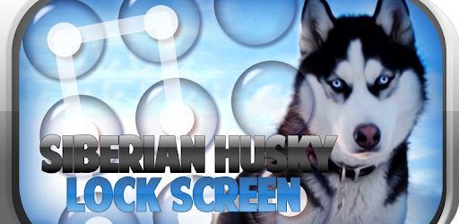 Siberian Husky Pattern Lock Screen for PC - How to Install on Windows ...