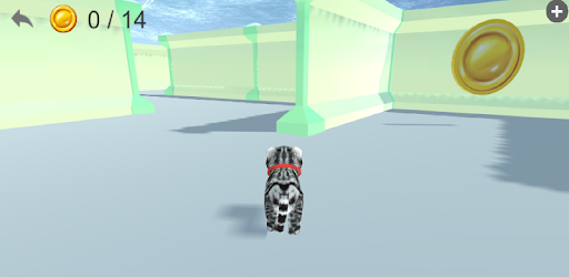Maze Game 3D Cat Simulator for PC - How to Install on Windows PC, Mac