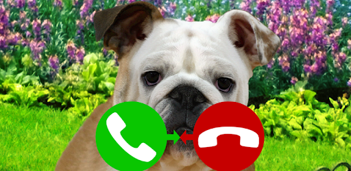 fake call dog game for PC - How to Install on Windows PC, Mac