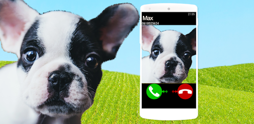 fake call dog game 2 for PC - How to Install on Windows PC, Mac