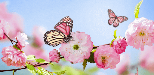 Spring Live Wallpaper APK Download For Free