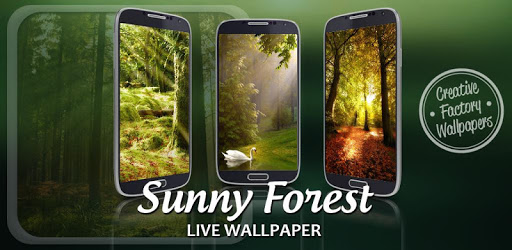 Sunny Forest Live Wallpaper for PC - How to Install on Windows PC, Mac