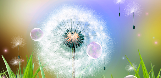 Dandelion Live Wallpaper for PC - How to Install on Windows PC, Mac