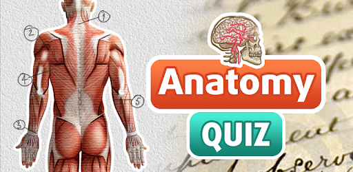 Anatomy Fun Free Trivia Quiz for PC - How to Install on Windows PC, Mac