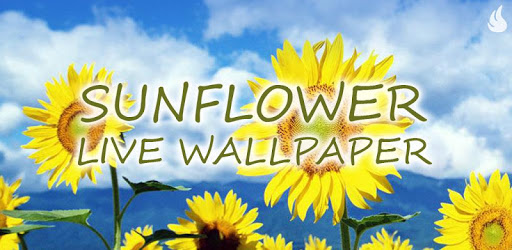 Sunflower Live Wallpaper for PC - How to Install on Windows PC, Mac