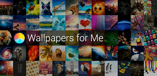 Wallpapers & Backgrounds for Me for PC - How to Install on Windows PC, Mac