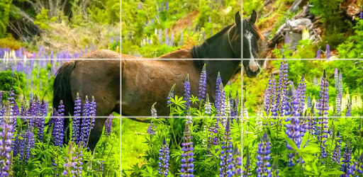 Puzzle - Forest animals for PC - How to Install on Windows PC, Mac