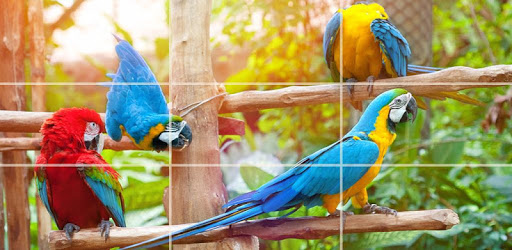 Puzzle - Birds APK Download For Free