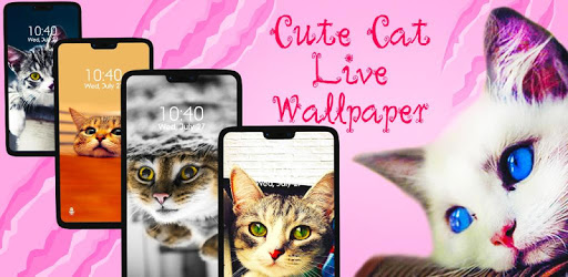 Cute Love Cat APUS Live Wallpaper for PC - How to Install on Windows PC ...