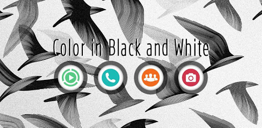 Color in black and white theme APK Download For Free