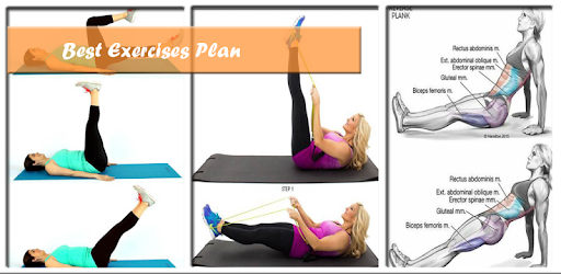 Best Exercises Plan for PC - How to Install on Windows PC, Mac