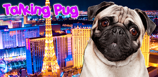 Talking Pug for PC - How to Install on Windows PC, Mac
