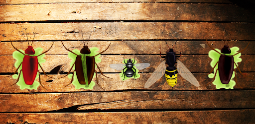 Tap Tap Ants - Ant & Cockroach Smasher for PC - How to Install on ...