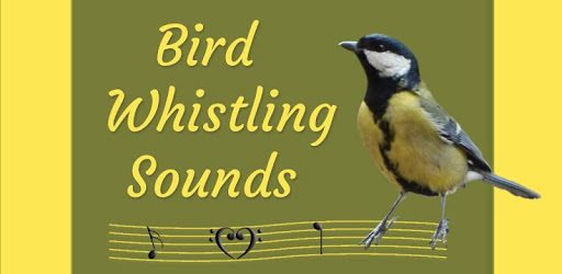 Bird Whistling Sounds APK Download For Free