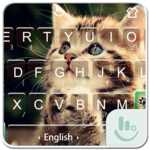 Cute Cat Emoji Keyboard Theme for PC - How to Install on Windows PC, Mac
