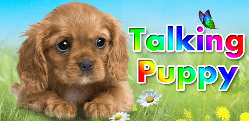 Talking puppy for PC - How to Install on Windows PC, Mac