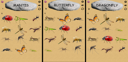 Insects - Learning Insects. Practice Test Sound for PC - How to Install ...