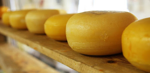 Cheese for PC - How to Install on Windows PC, Mac