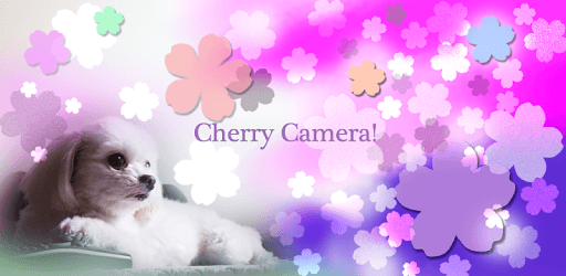 Cherry Camera! for PC - How to Install on Windows PC, Mac