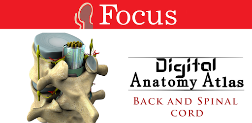 BACK AND SPINAL CORD - ATLAS for PC - How to Install on Windows PC, Mac