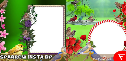 Sparrow Insta DP APK Download For Free