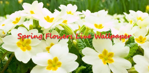 Spring Live Wallpaper for PC - How to Install on Windows PC, Mac
