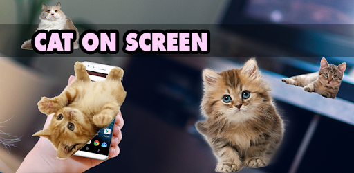 On Screen Cat Walks: Funny & Cute Animation APK Download For Free