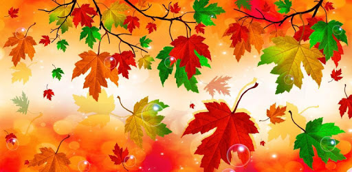 Autumn Leaves Live Wallpaper APK Download For Free