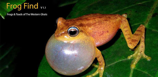 Frog Find for PC - How to Install on Windows PC, Mac