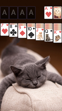 Solitaire Cute Cats Theme APK Download For Free