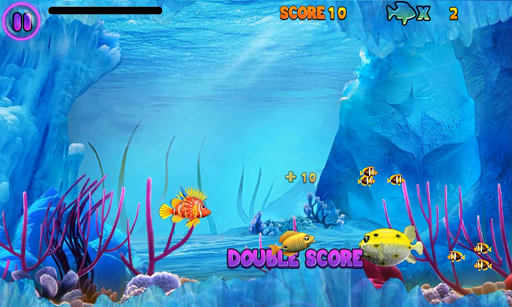 Fish Feeding Frenzy APK Download For Free
