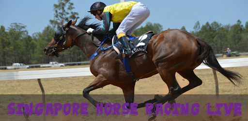 Singapore Horse Racing Live APK Download For Free