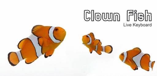 Clown Fish Live Keyboard Theme for PC - How to Install on Windows PC, Mac
