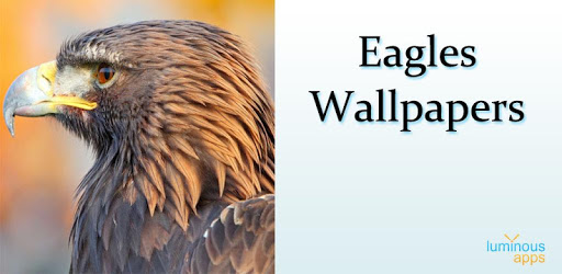 Eagles Wallpapers for PC - How to Install on Windows PC, Mac