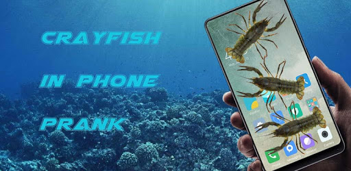 Crayfish in phone prank for PC - How to Install on Windows PC, Mac