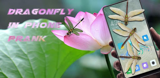 Dragonfly in phone prank for PC - How to Install on Windows PC, Mac