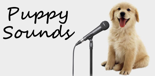 Puppy Sounds for PC - How to Install on Windows PC, Mac