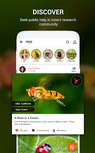 Insect identifier App by Photo, Camera 2020 APK Download For Free