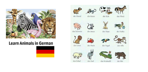 Learn Animals in German for PC - How to Install on Windows PC, Mac