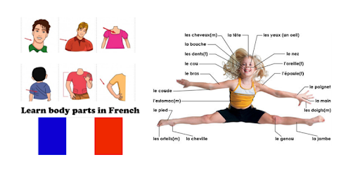Learn Body Parts in French for PC - How to Install on Windows PC, Mac