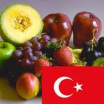 Learn Fruits in Turkish for PC - How to Install on Windows PC, Mac