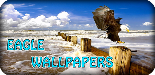 Eagle Wallpapers Hd for PC - How to Install on Windows PC, Mac