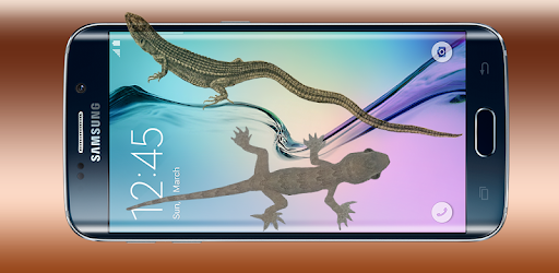 Lizard On Screen for PC - How to Install on Windows PC, Mac