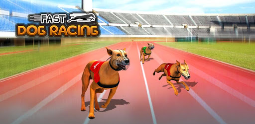 Fast Dog Racing 3D APK Download For Free